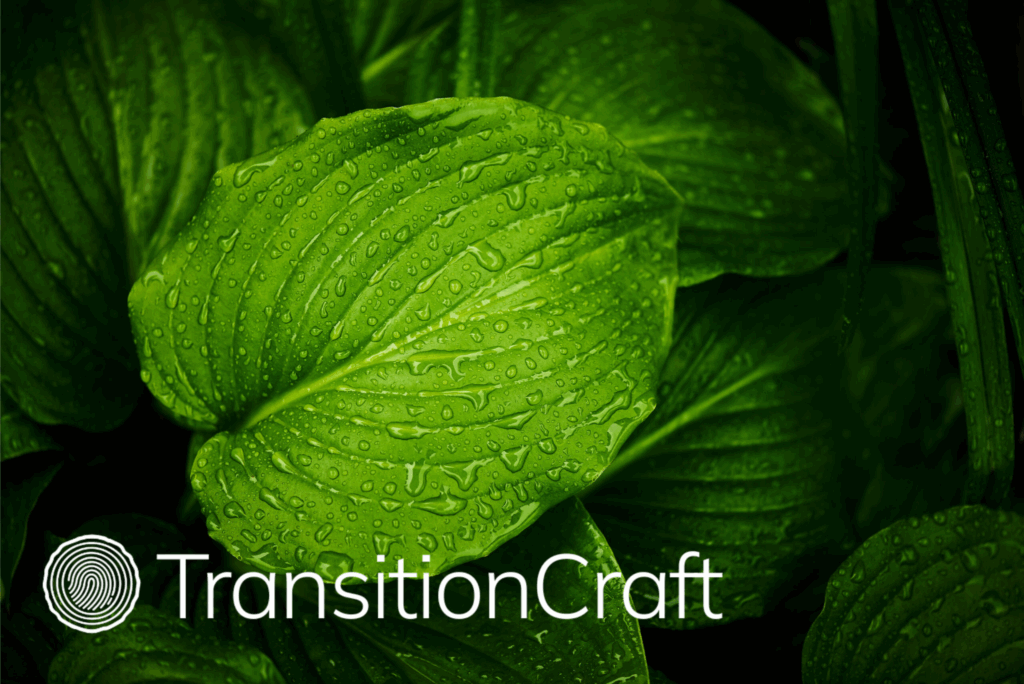 TransitionCraft | Conscious Dying, End-of-Life Healing & Death Doula ...